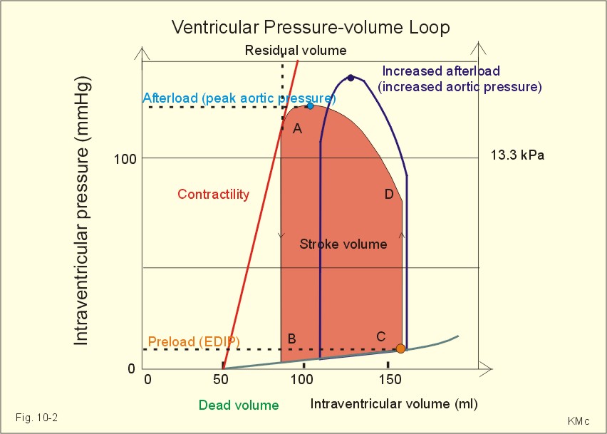 Ventricular Pressure-volume loop : 네이버 블로그