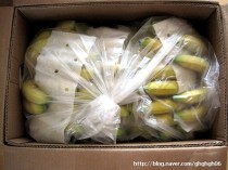 델몬트바나나-크고 달콤하니 맛나요^^ : 네이버 블로그