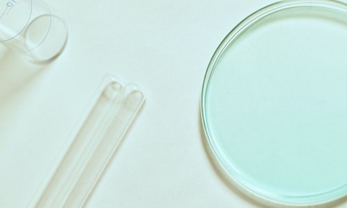 직장인의 카이스트 AI 대학원(김재철AI대학원) 합격 후기/자소서 공유 : 네이버 블로그