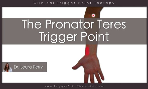 Anatomy Of The Pronator Teres Muscle : 네이버 블로그