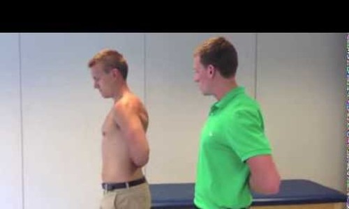 Subscapularis muscle test : 네이버 블로그