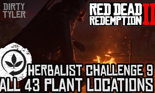 레드 데드 리뎀션2, 모든 도전 클리어 (강도, 탐험가, 도박사, 약초학자, 기수) : 네이버 블로그