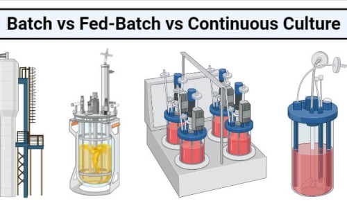 culture,batch 종류 장단점 : 네이버 블로그