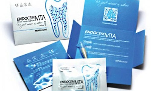 Endocem MTA by Maruchi (엠티에이) : 네이버 블로그