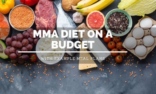 종합격투기 mma선수들의 다이어트 식단 : 네이버 블로그