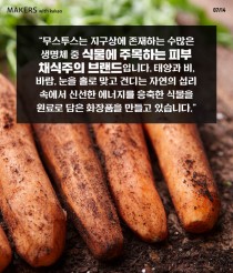 [스토리] MUSTUS 편 : 그린 바이탈 에너지를 피부에 톡톡! : 네이버 블로그