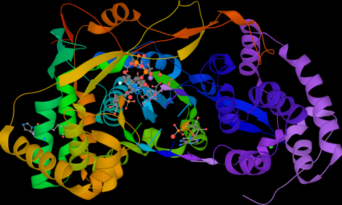 RdRP (RNA dependent RNA polymerase) : 네이버 블로그