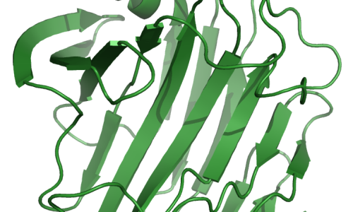효소(Enzymes)의 종류와 식품 및 산업적 이용 : 네이버 블로그