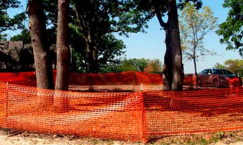 나무보호구역, 뿌리보호구역, 뿌리임계구역 : 네이버 블로그