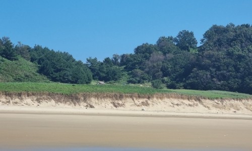 인천 대이작도 모래해안의 급격한 침식 현상 : 네이버 블로그