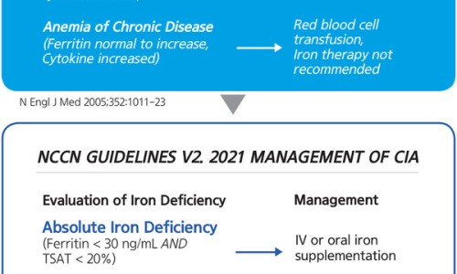 [진단 검사] CBC에서 MCHC, MCV, MCH, RDW는 왜 보는 걸까? : 네이버 블로그