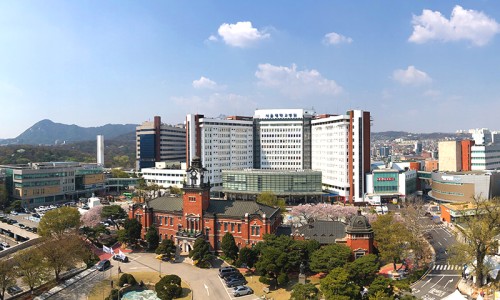 21대 대통령 이재명 당선. 대선 과정을 보면서 나의 생각 : 네이버 블로그